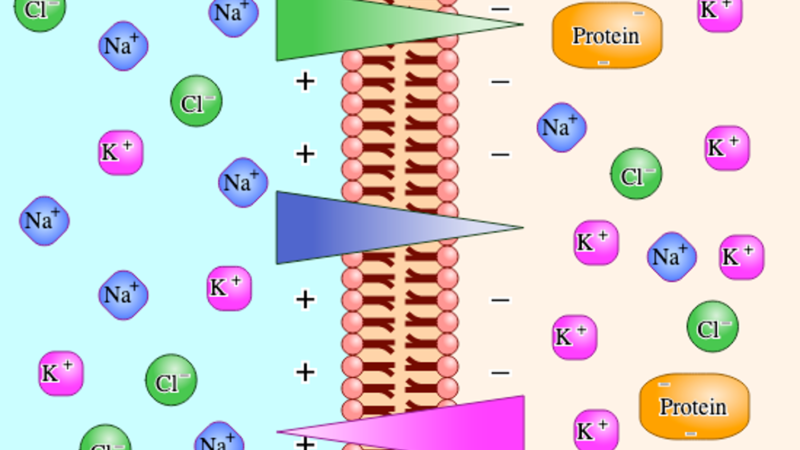 The Importance of Hydration (And 5 Tips to Help You Stay Hydrated ...