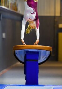 Goal Setting for Gymnasts: A Roadmap for Success - Gymnastics Medicine